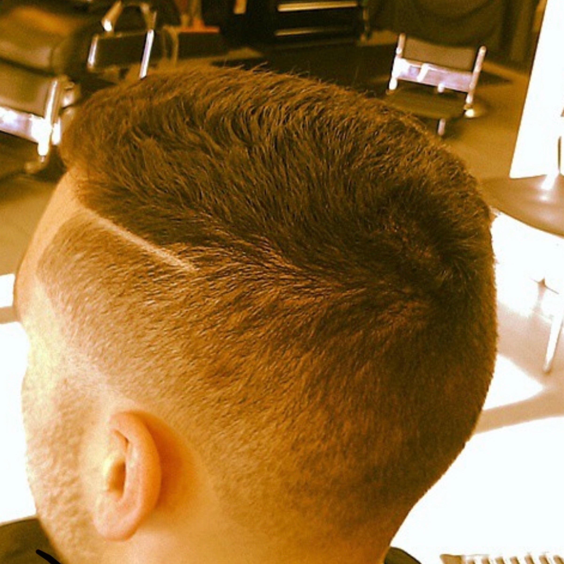 Steven C. Williams logo